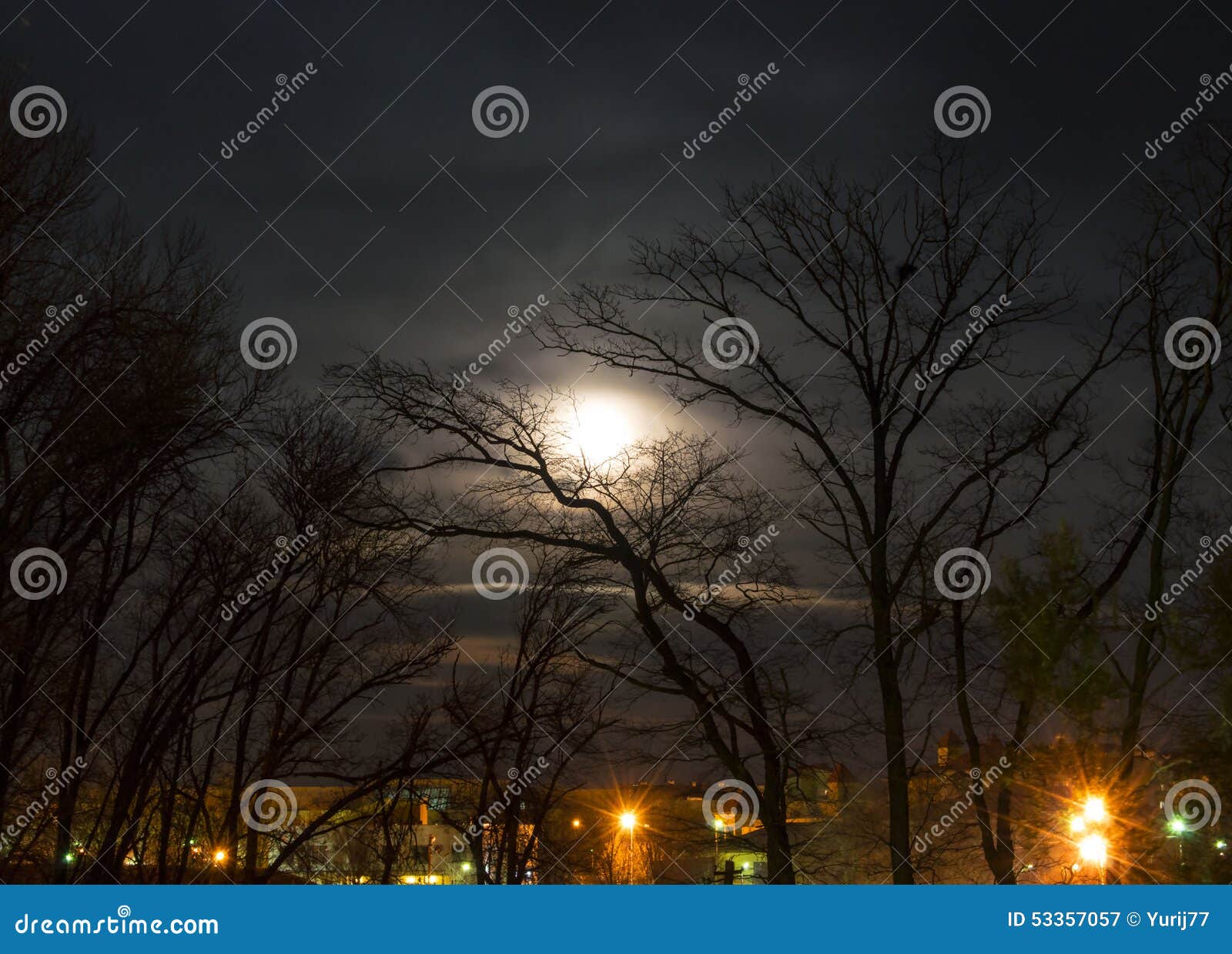 Moon in the trees stock image. Image of autumn, landscape - 53357057
