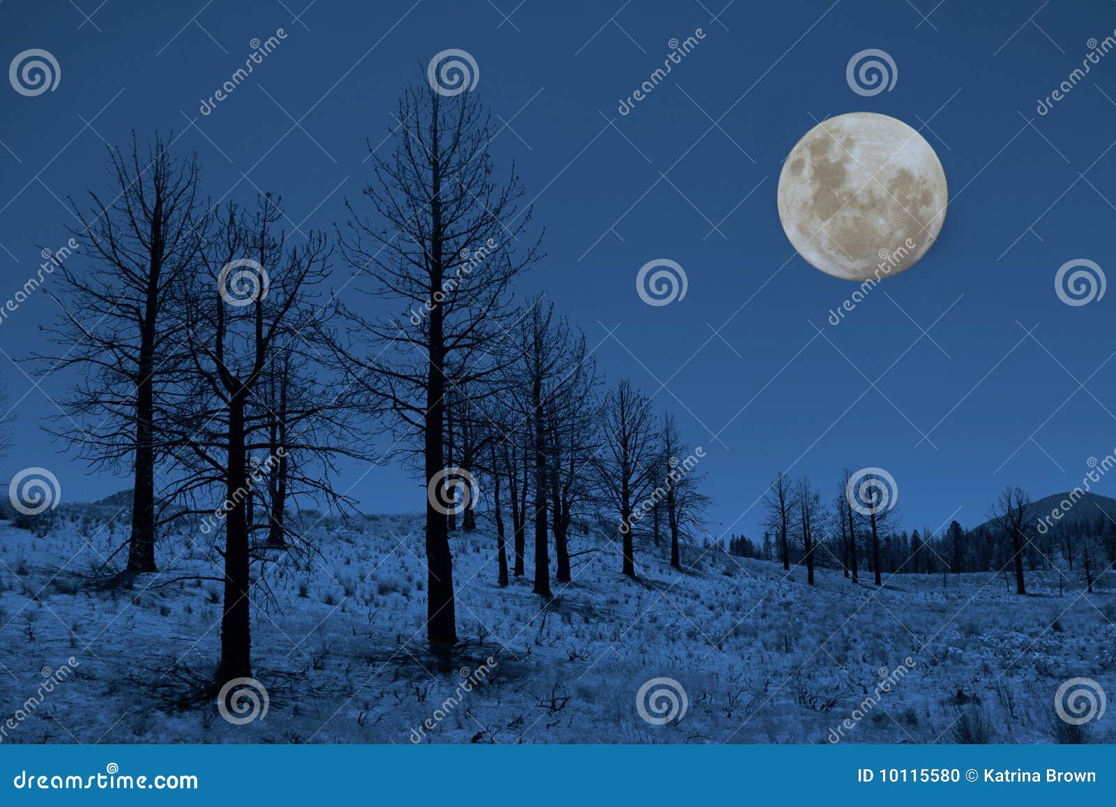 Moon and Trees in the Sierras Stock Photo - Image of moon, blue: 10115580