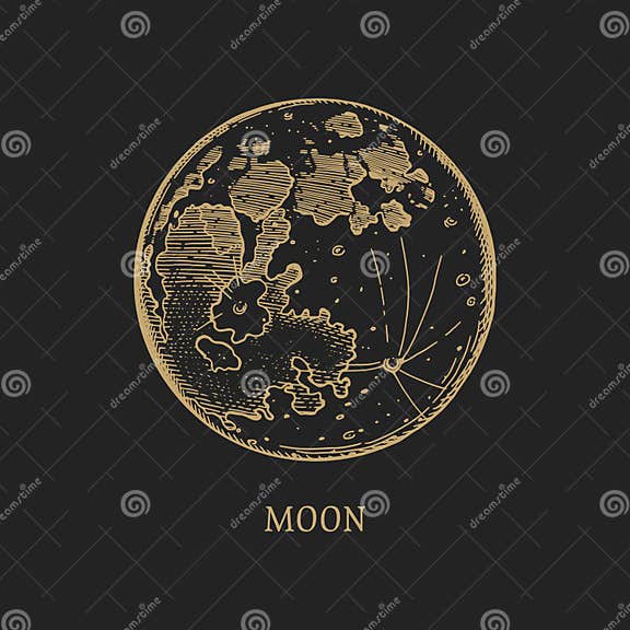 Full Moon Hand Drawing Sketch Stock Vector - Illustration of drawing ...