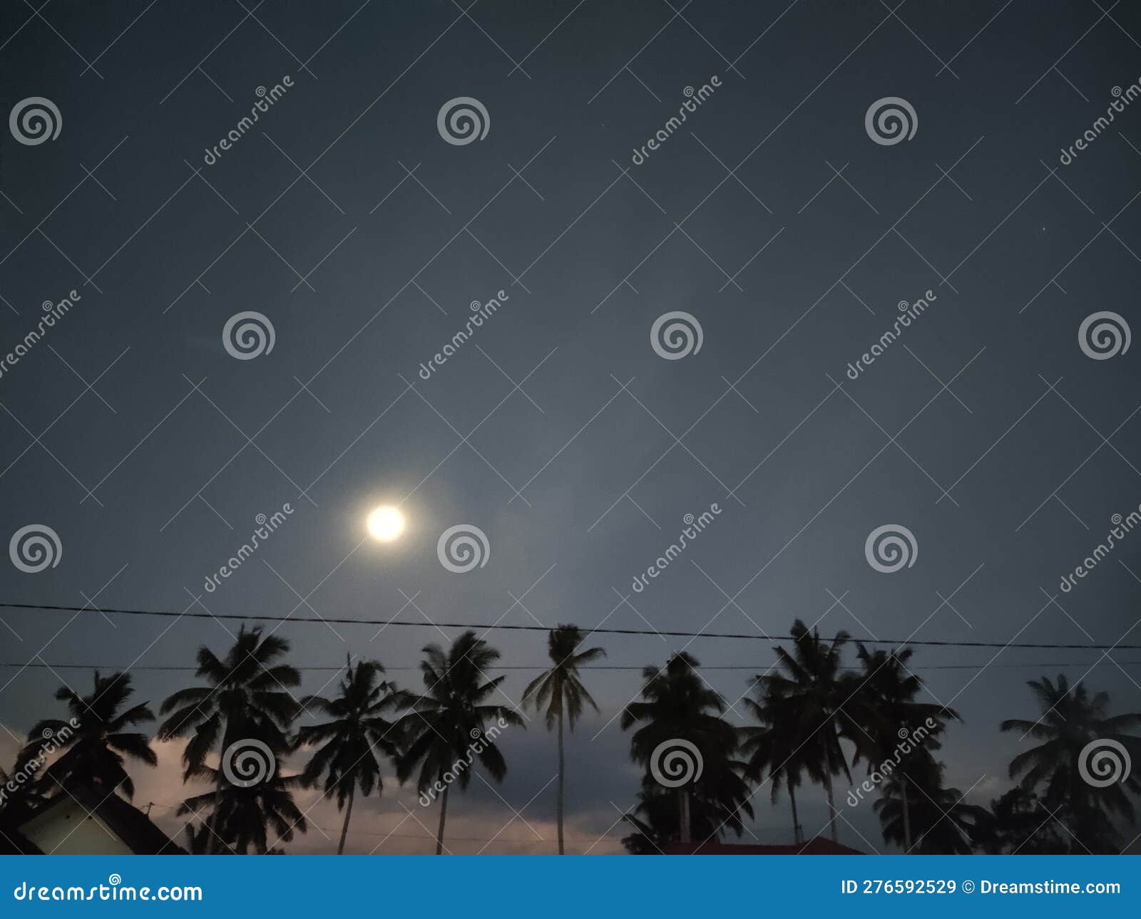 Moon view coconut tree sky stock image. Image of coconut - 276592529