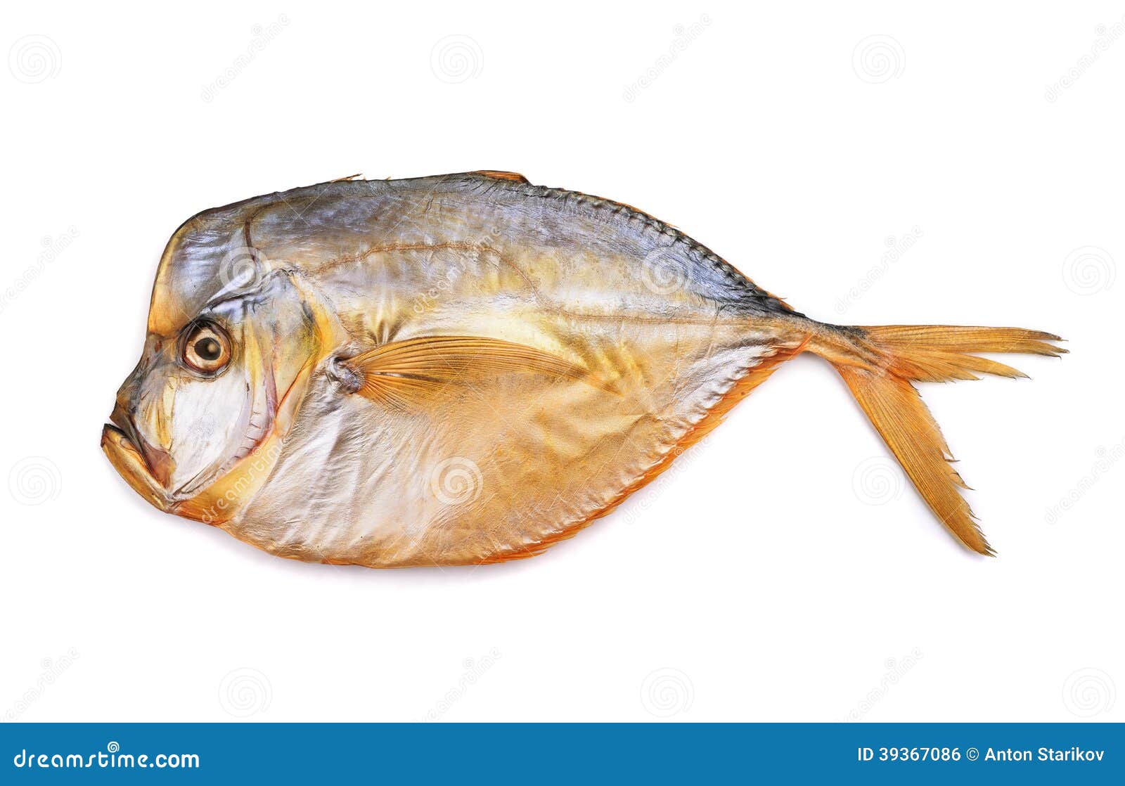 Moonfish stock photo. Image of isolated, oceanic, aquatic - 39367086