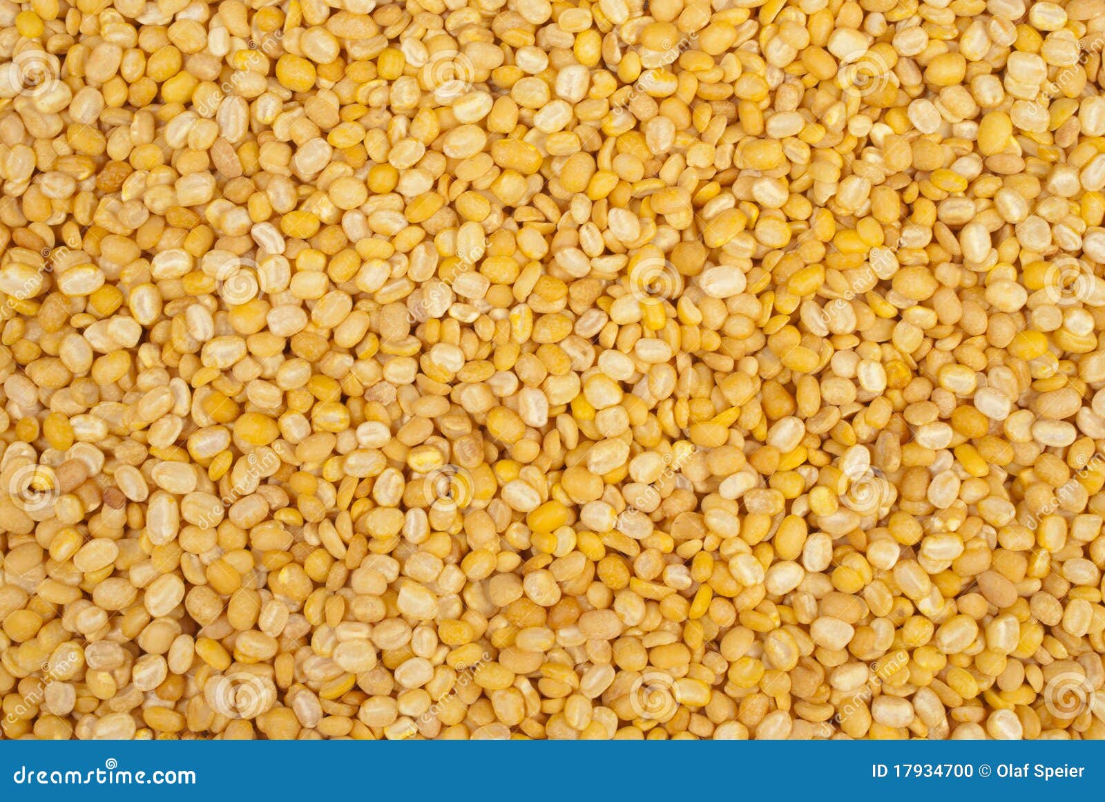 Moong Daal lentils stock photo. Image of vegetarian, grain - 17934700