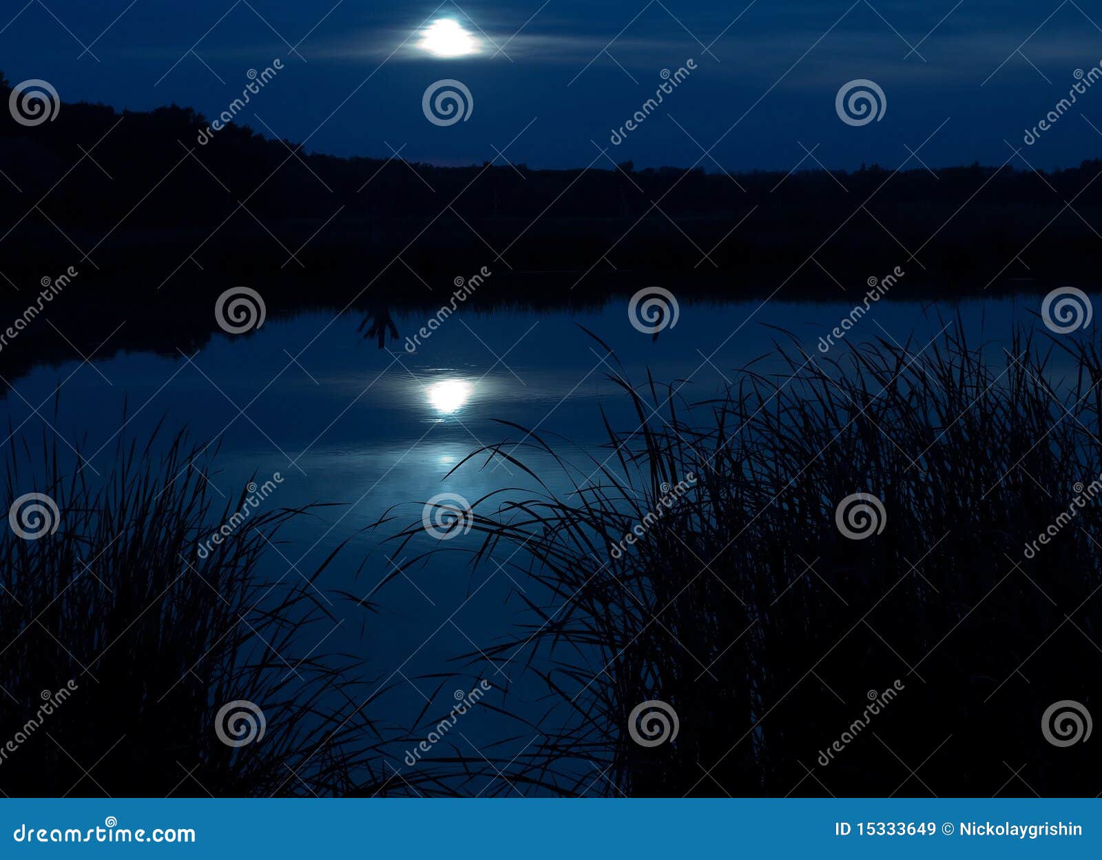 Moonlight stock image. Image of spike, moonligth, shine - 15333649