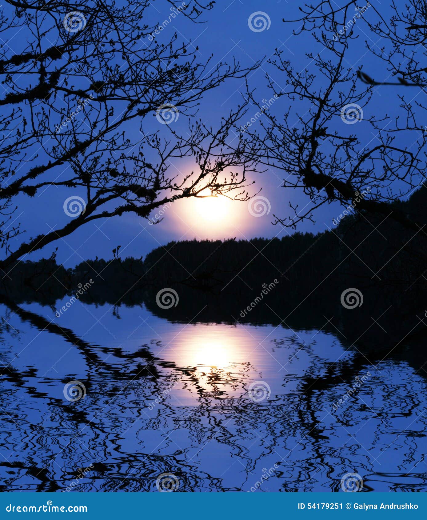 Moonlight stock image. Image of romance, midnight, evening - 54179251