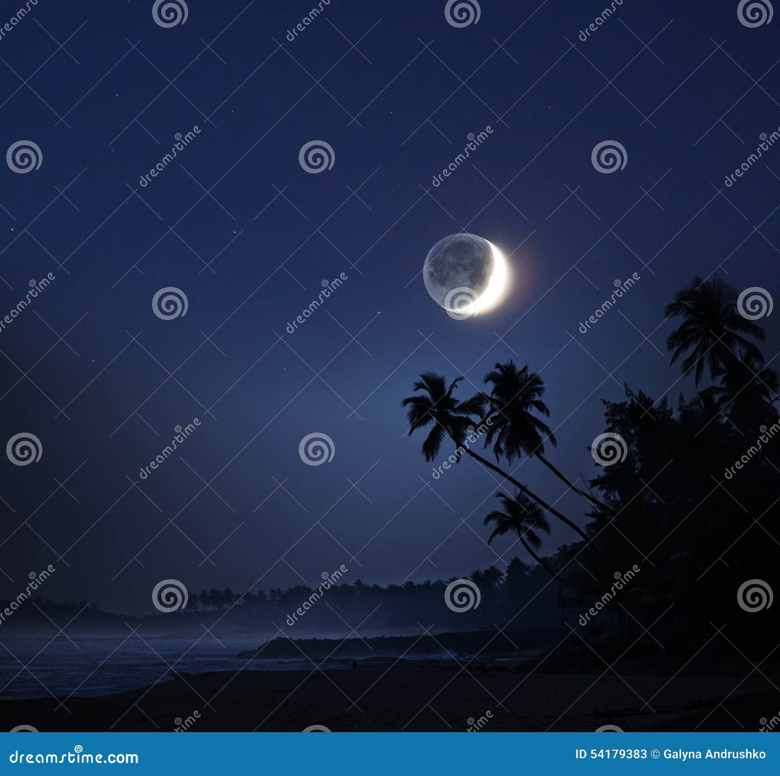 Moonlight stock image. Image of moon, moonlight, pond - 54179383