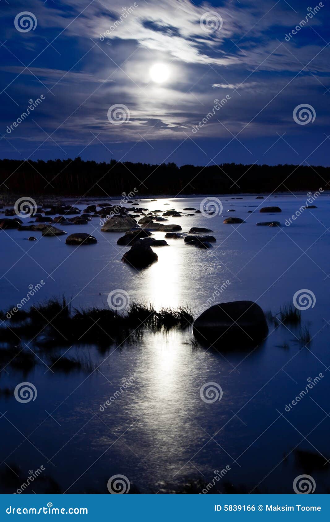 Moonlight stock photo. Image of black, ocean, coast, fantasy - 5839166
