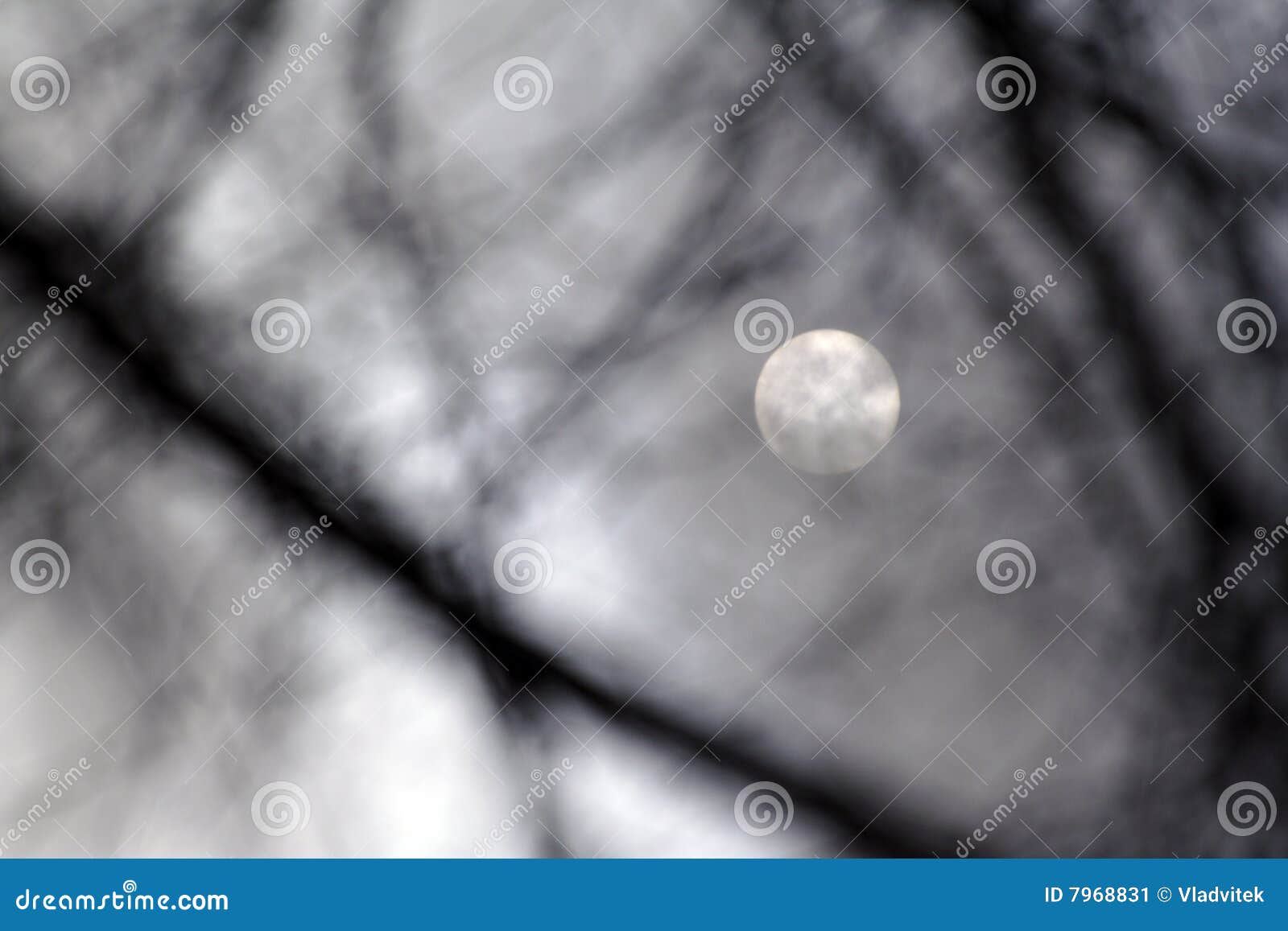 Moonlight stock image. Image of branches, downbeat, fantasy - 7968831