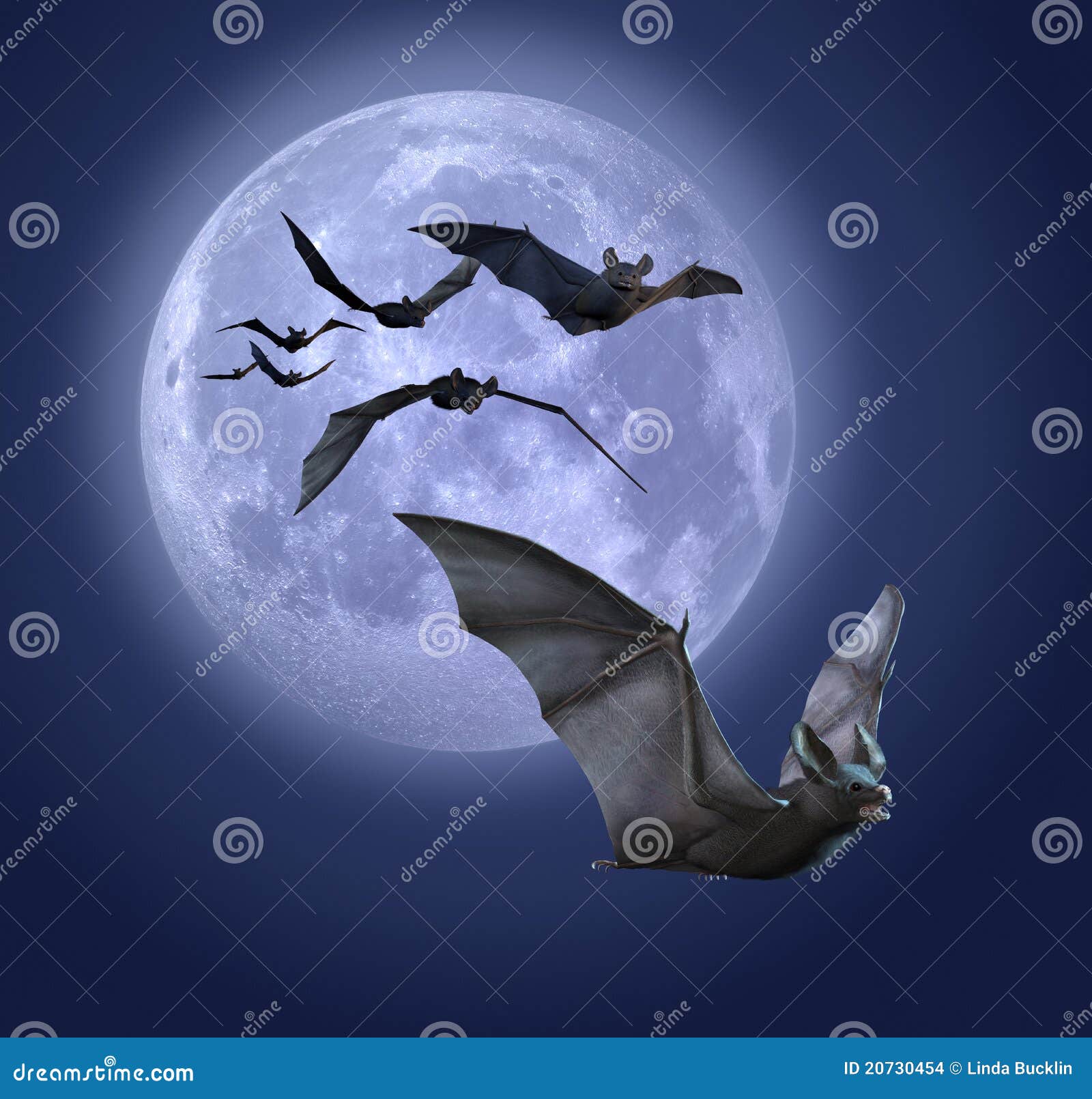 Moonlight Bats stock illustration. Illustration of full - 20730454