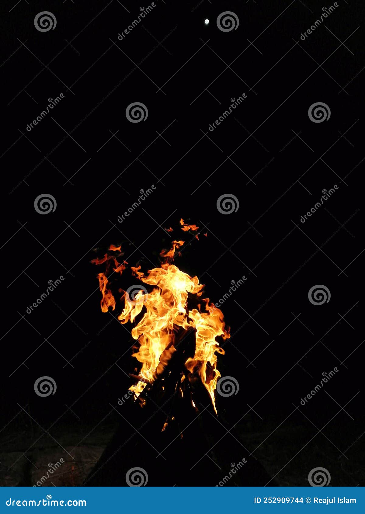 Moonlight Camp fire picnic stock photo. Image of moonlight - 252909744