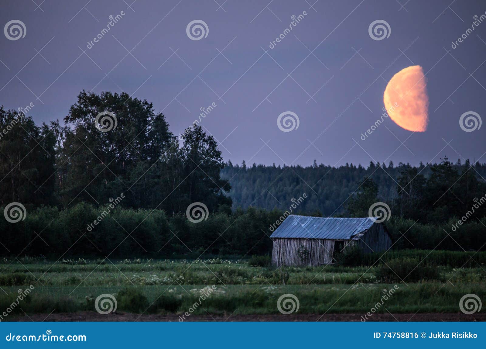 Moonlight in countryside stock photo. Image of moonlight - 74758816