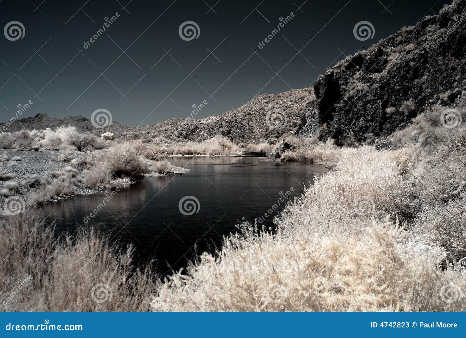 Moonlight Desert River stock image. Image of monochrome - 4742823