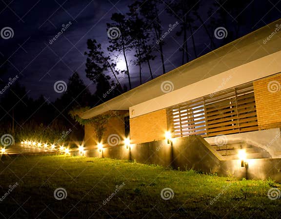 Moonlight at the garden stock image. Image of pine, country - 14246009