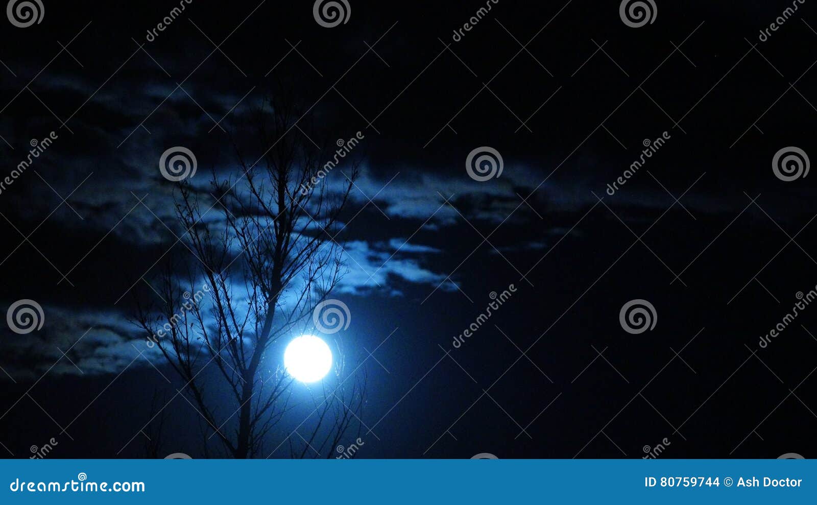 Moonlight Glow stock photo. Image of moonlight, glow - 80759744