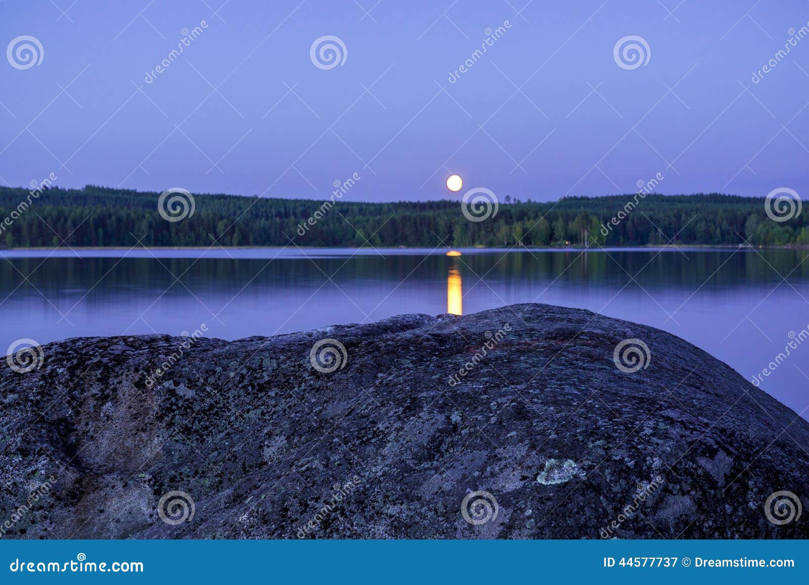 Moonlight by the lake stock image. Image of trees, stone - 44577737