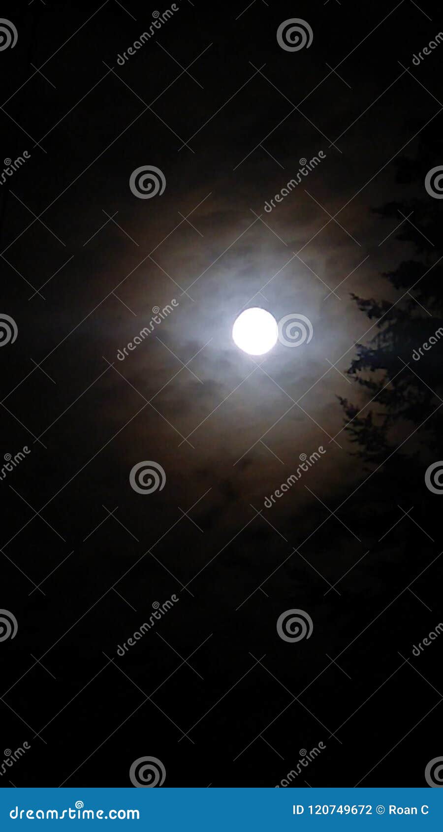 The moonlight mist stock photo. Image of warm, moon - 120749672