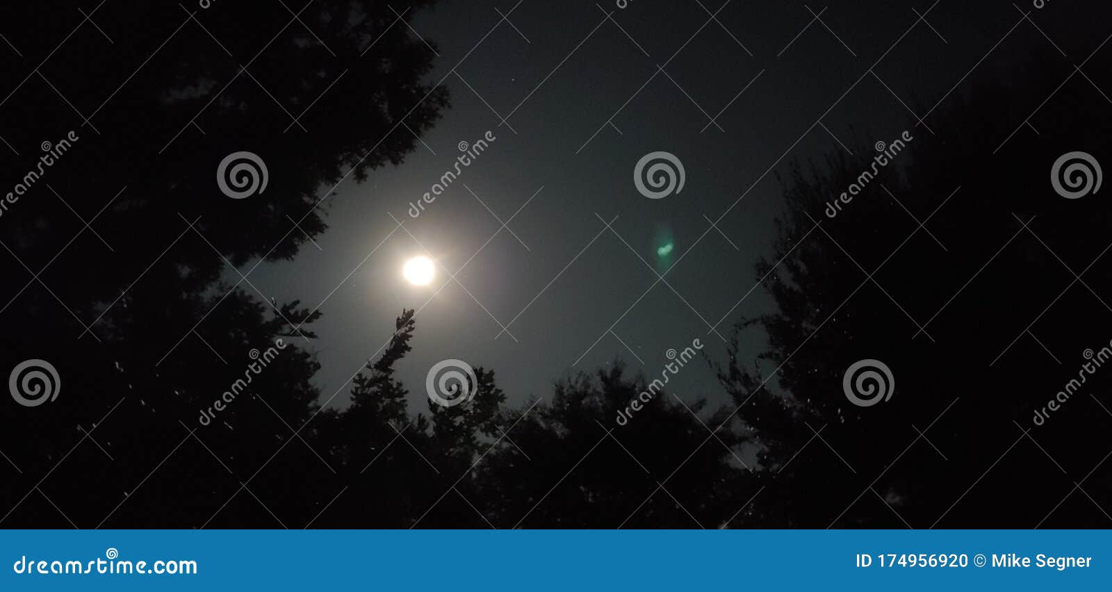 Moonlight, Moonlit, Trees, Tranquil, Peaceful Stock Photo - Image of ...