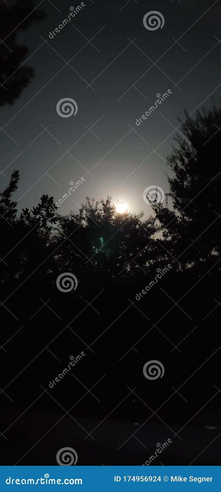 Moonlight, Moonlit, Trees, Tranquil, Peaceful Stock Photo - Image of ...