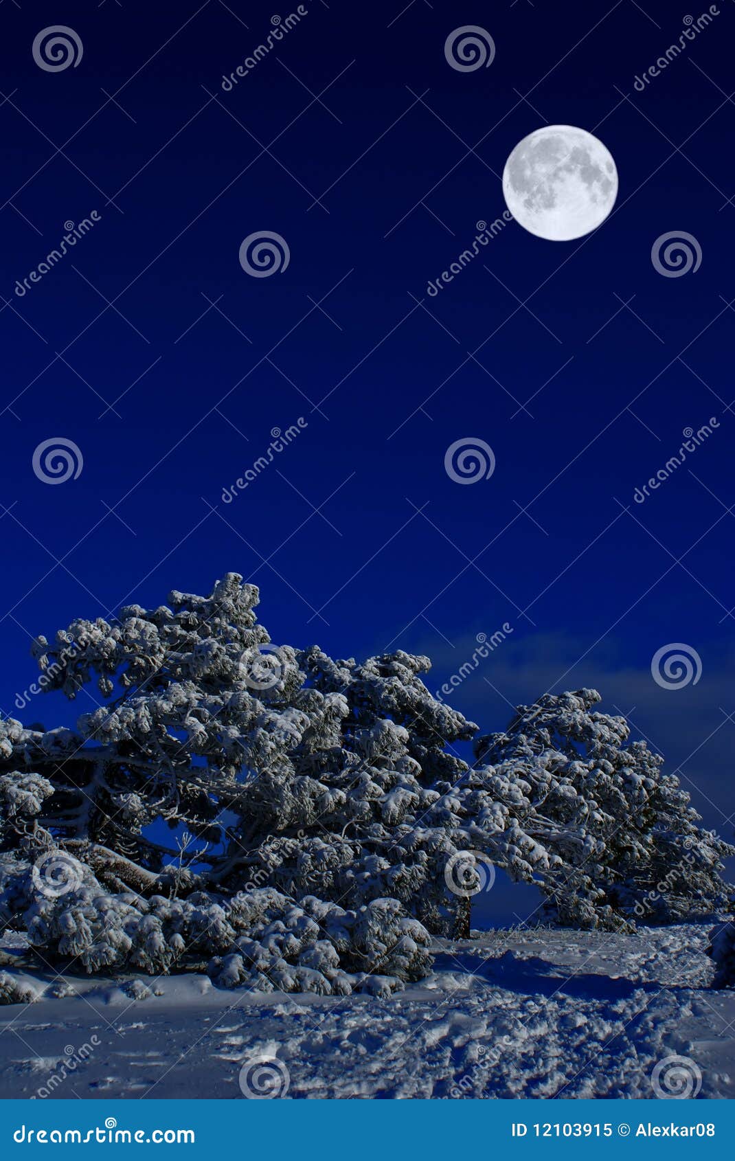 Moonlight night stock image. Image of landscape, moonlight - 12103915