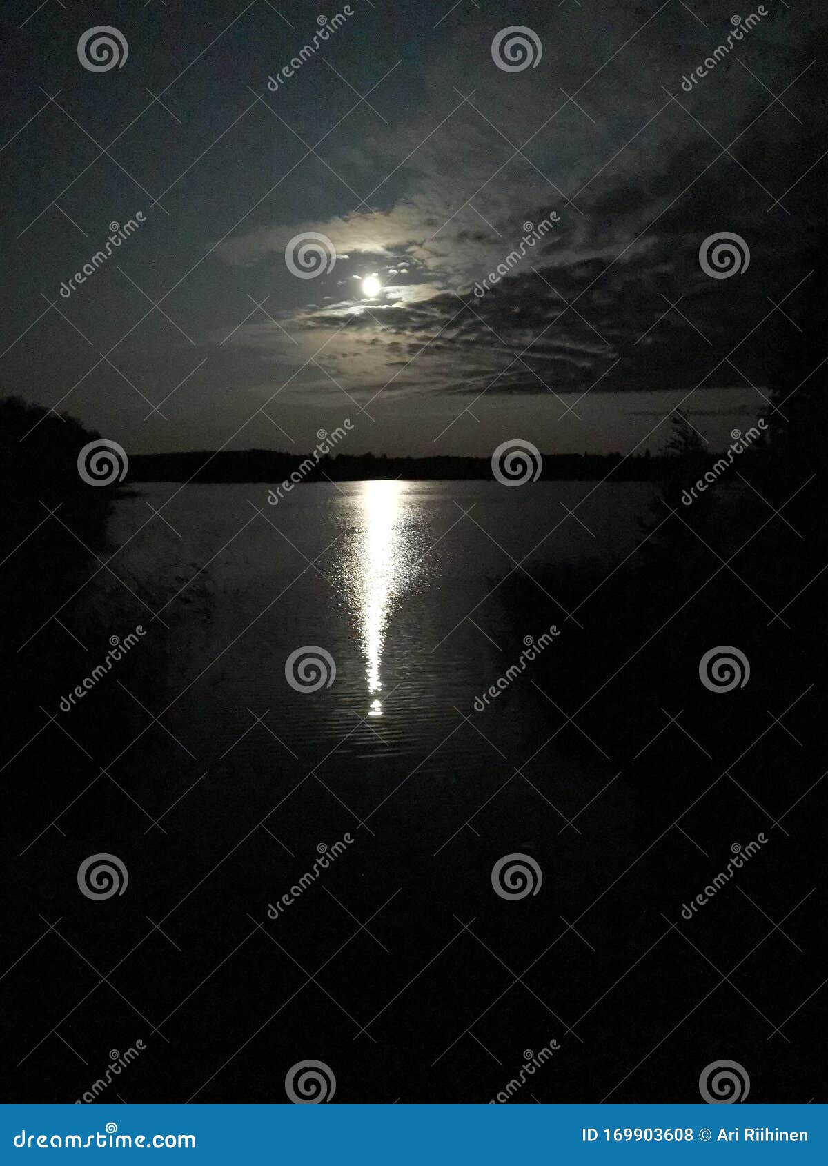 Moonlight stock photo. Image of moonlight, night, lake - 169903608