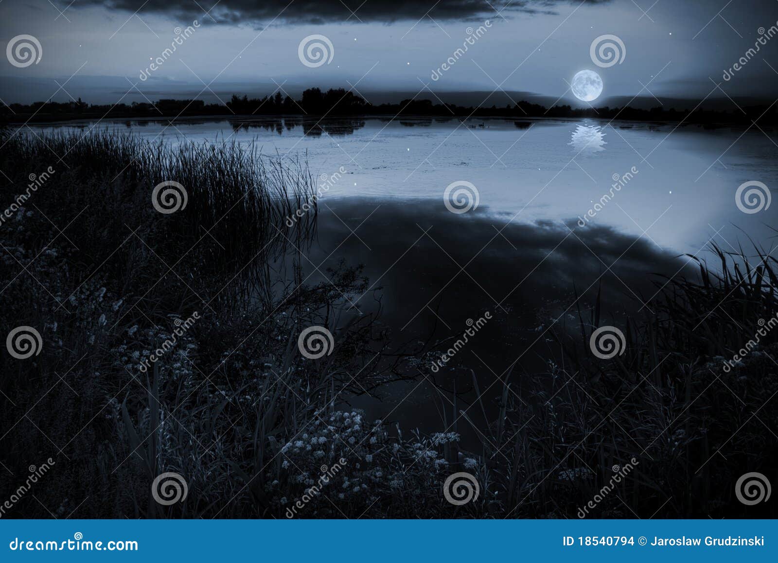 Moonlight over a lake stock photo. Image of mysterious - 18540794