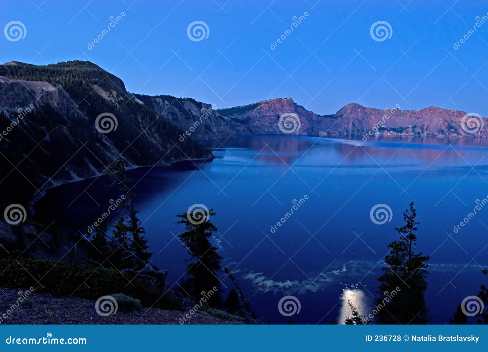 Moonlight over lake stock photo. Image of tree, deepest - 236728