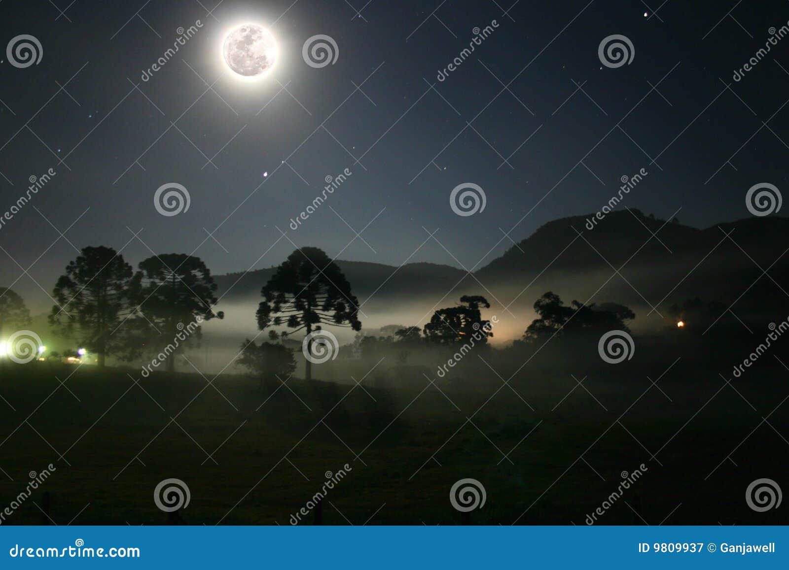 Moonlight over trees stock image. Image of night, natural - 9809937