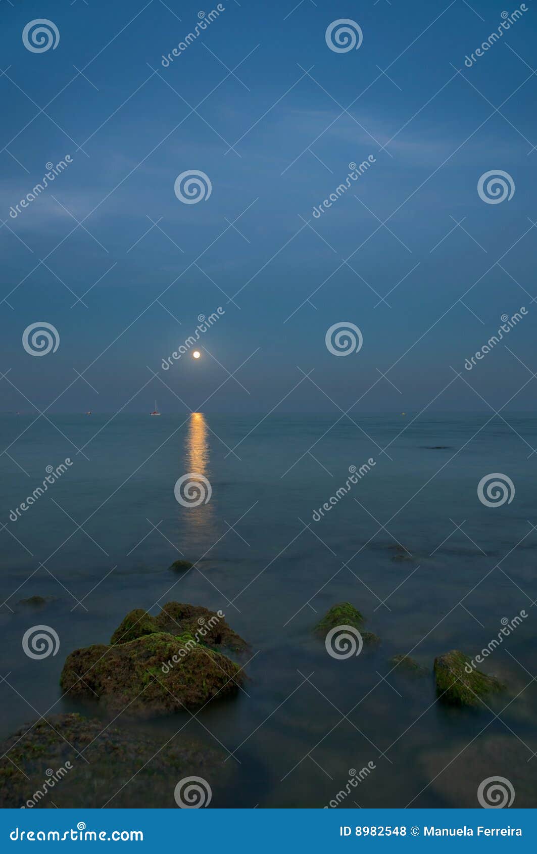 Moonlight over water stock photo. Image of night, background - 8982548