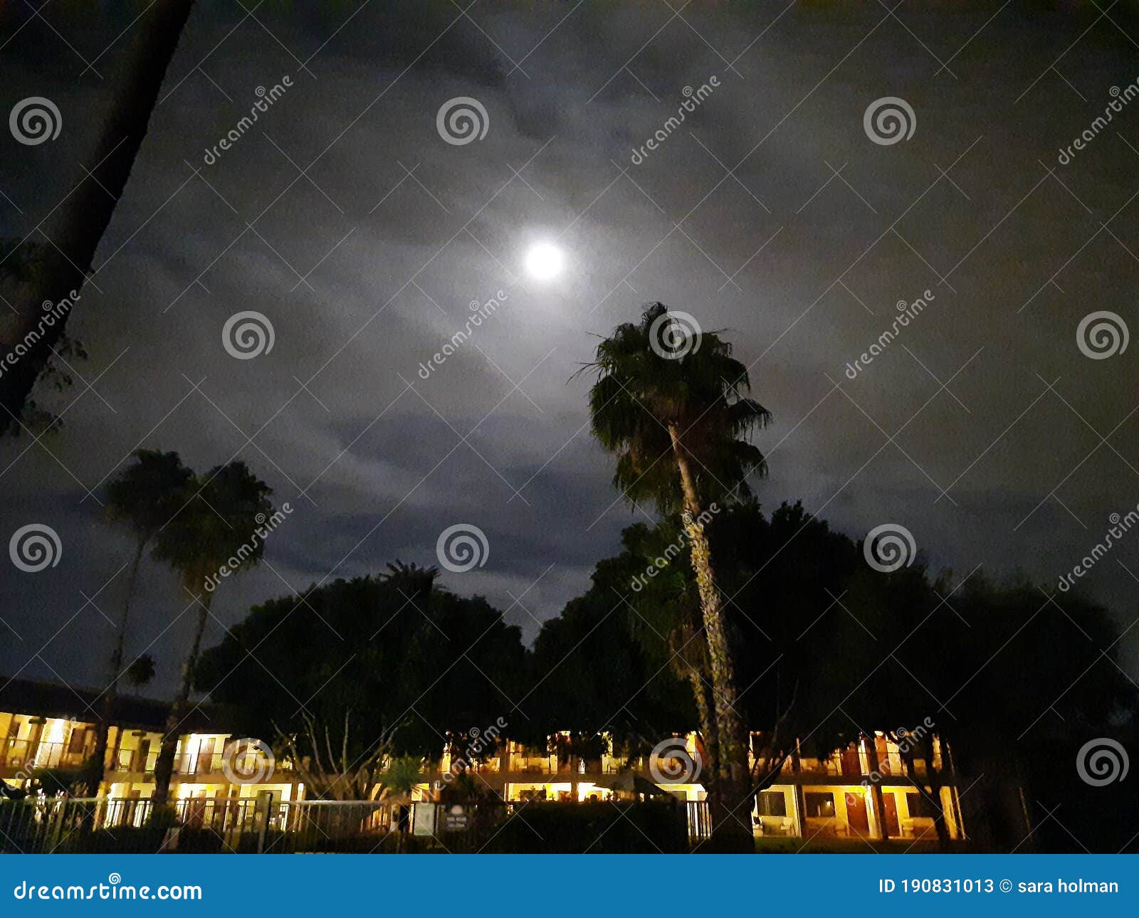 Moonlight vibes stock image. Image of cloud, night, quail - 190831013