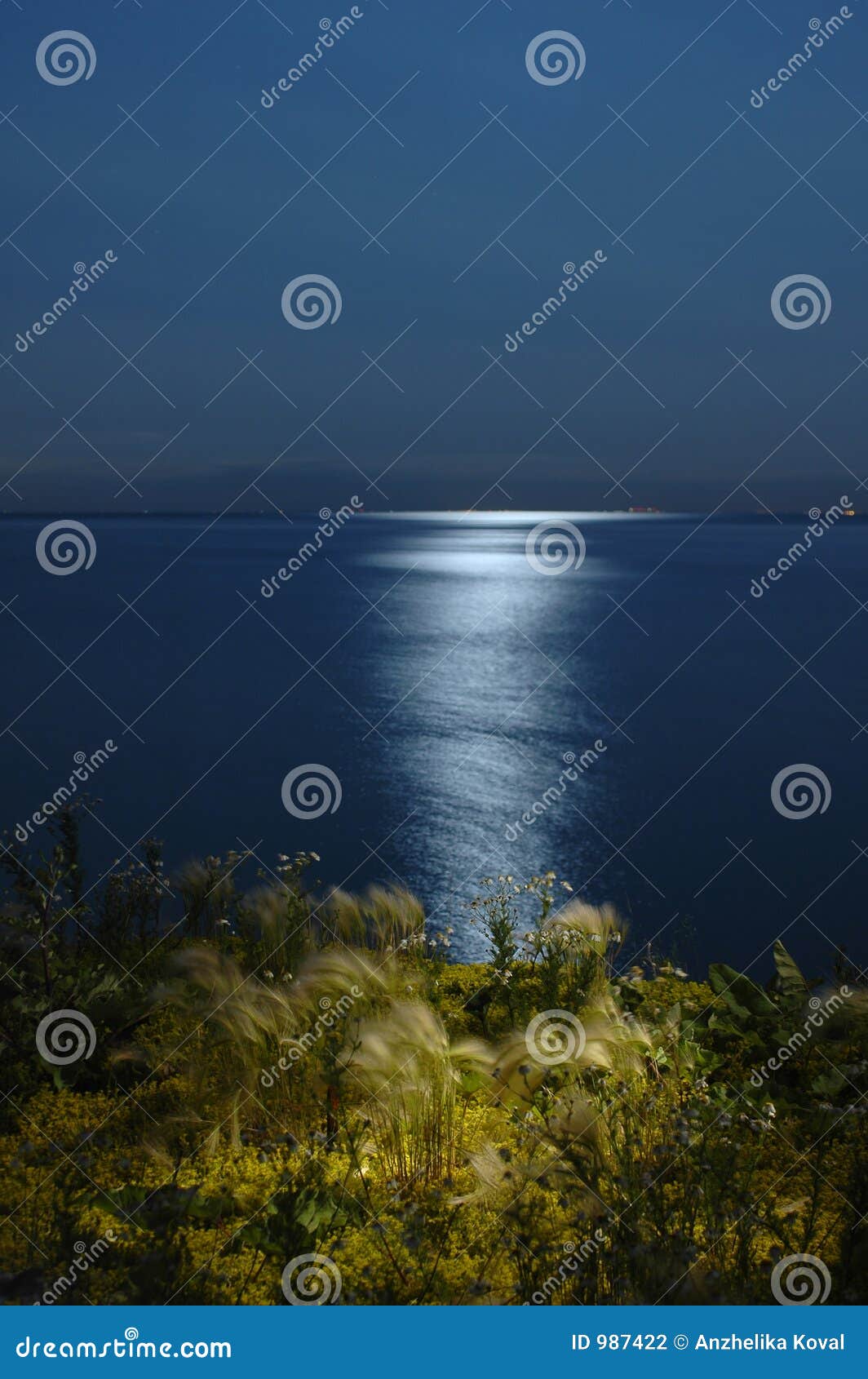 Moonlight Reflection on the Feather Stock Photo - Image of reflection ...