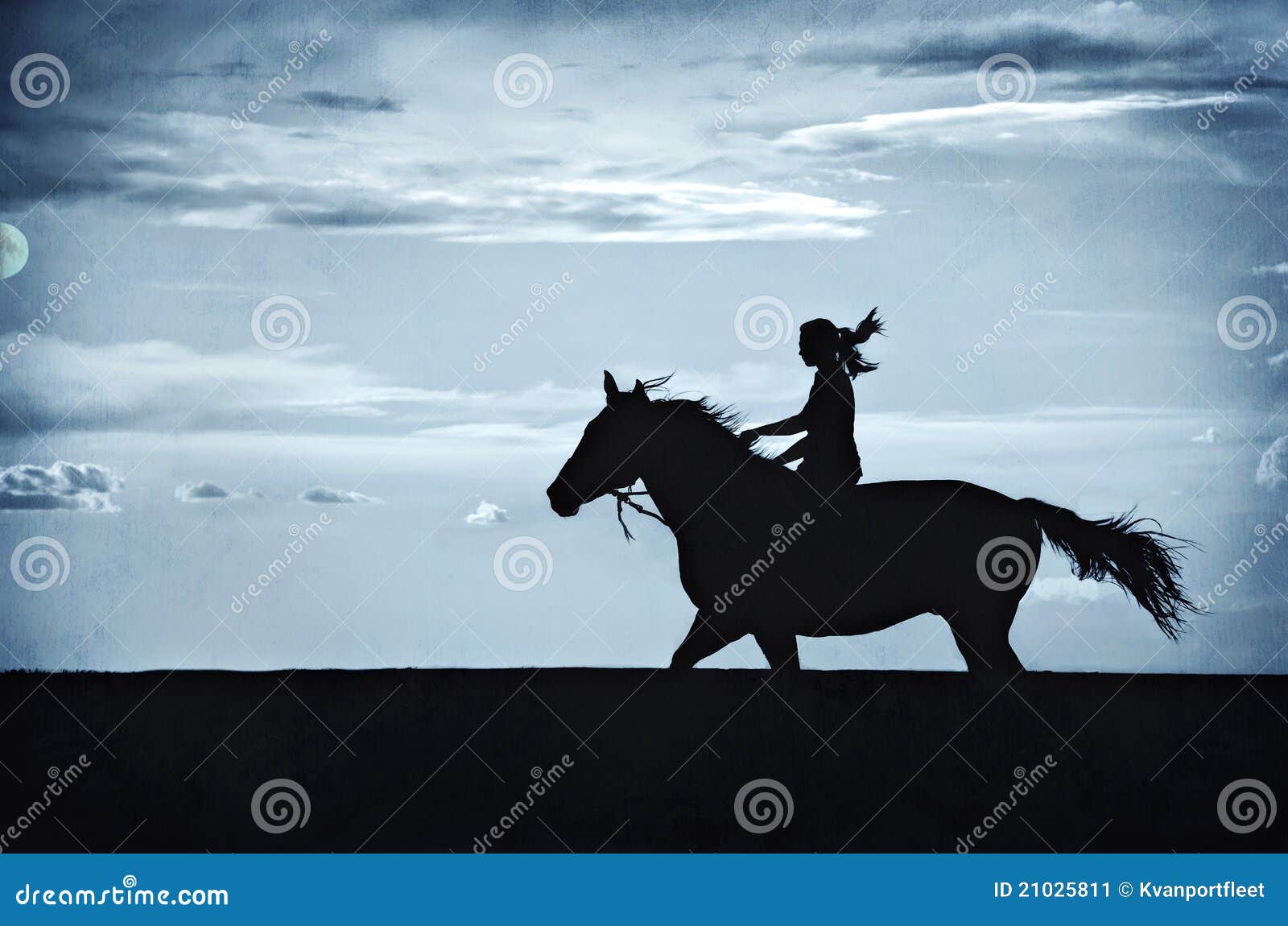 Moonlight Ride stock image. Image of freedom, work, partnership - 21025811