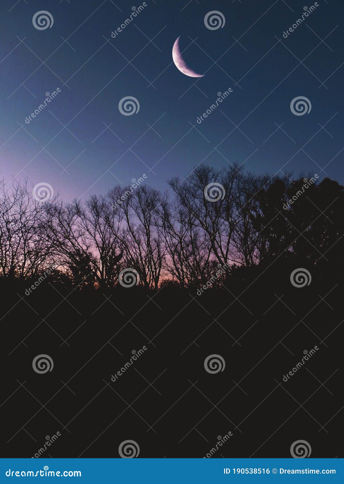 Moonlight in the shadow stock photo. Image of tree, cloud - 190538516