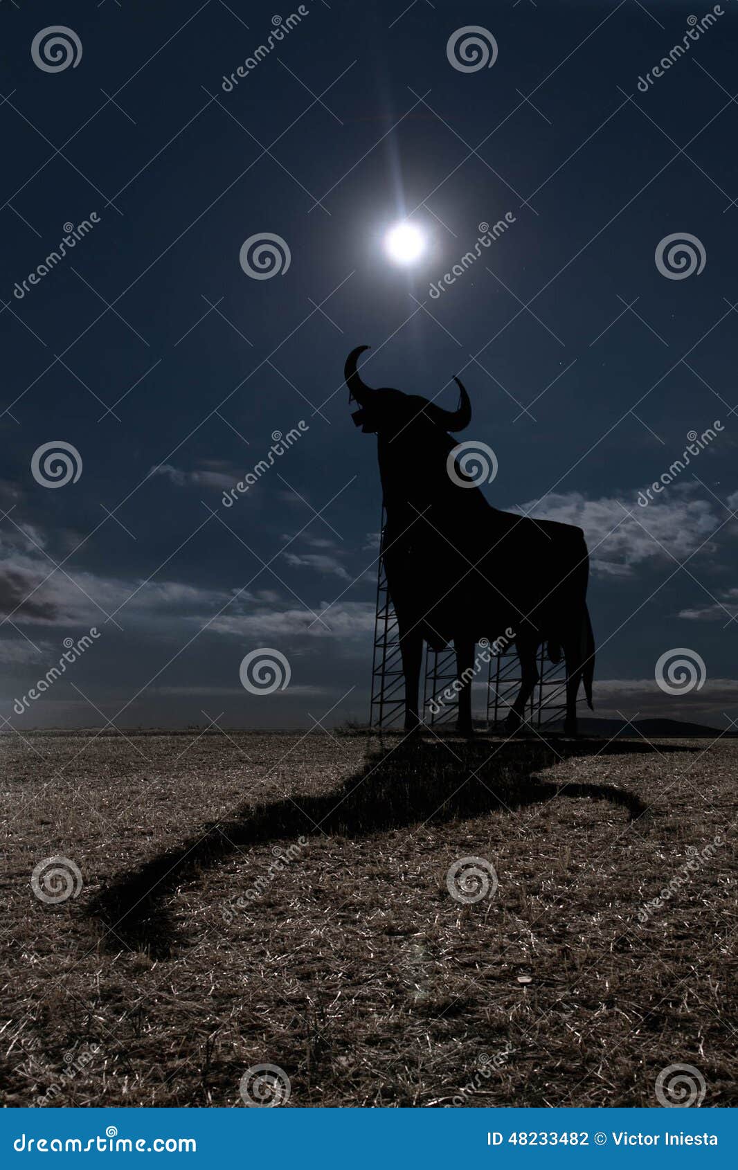 Moonlight shadow stock photo. Image of bull, landscape - 48233482