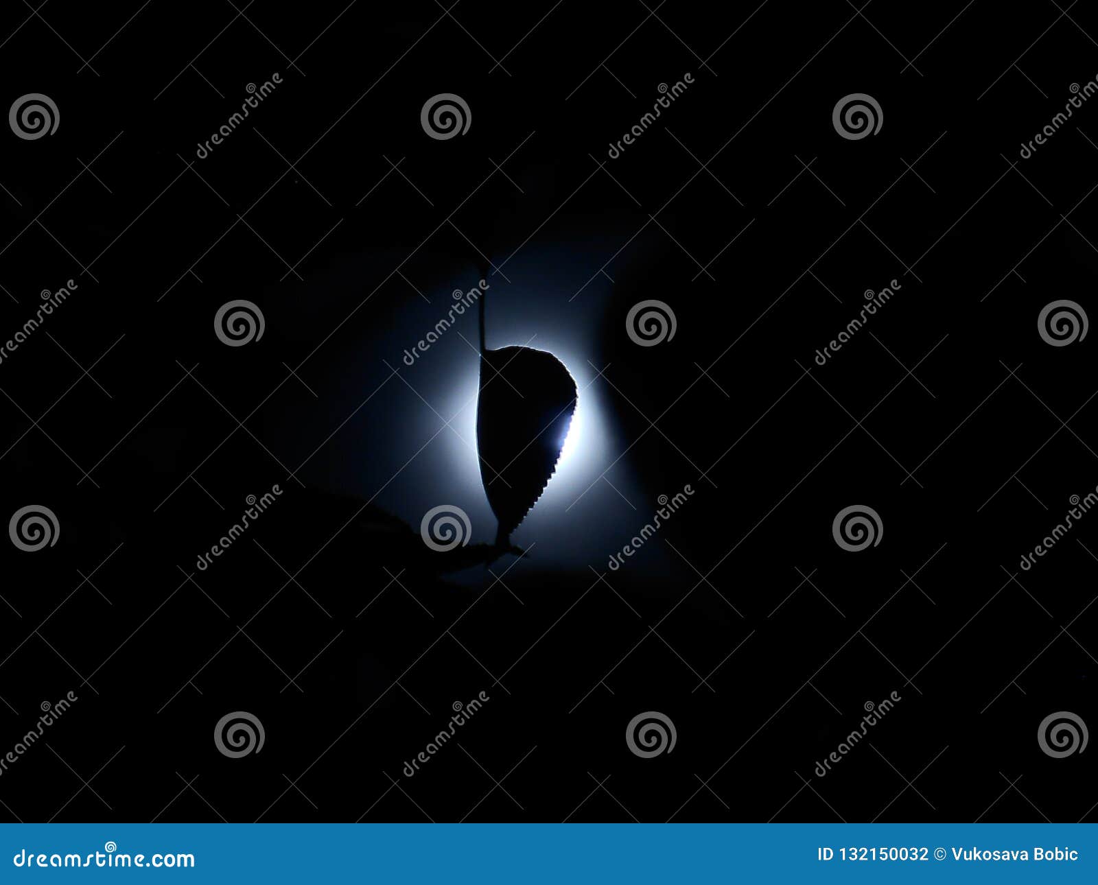 Moonlight shadow stock photo. Image of moonlight, moon - 132150032