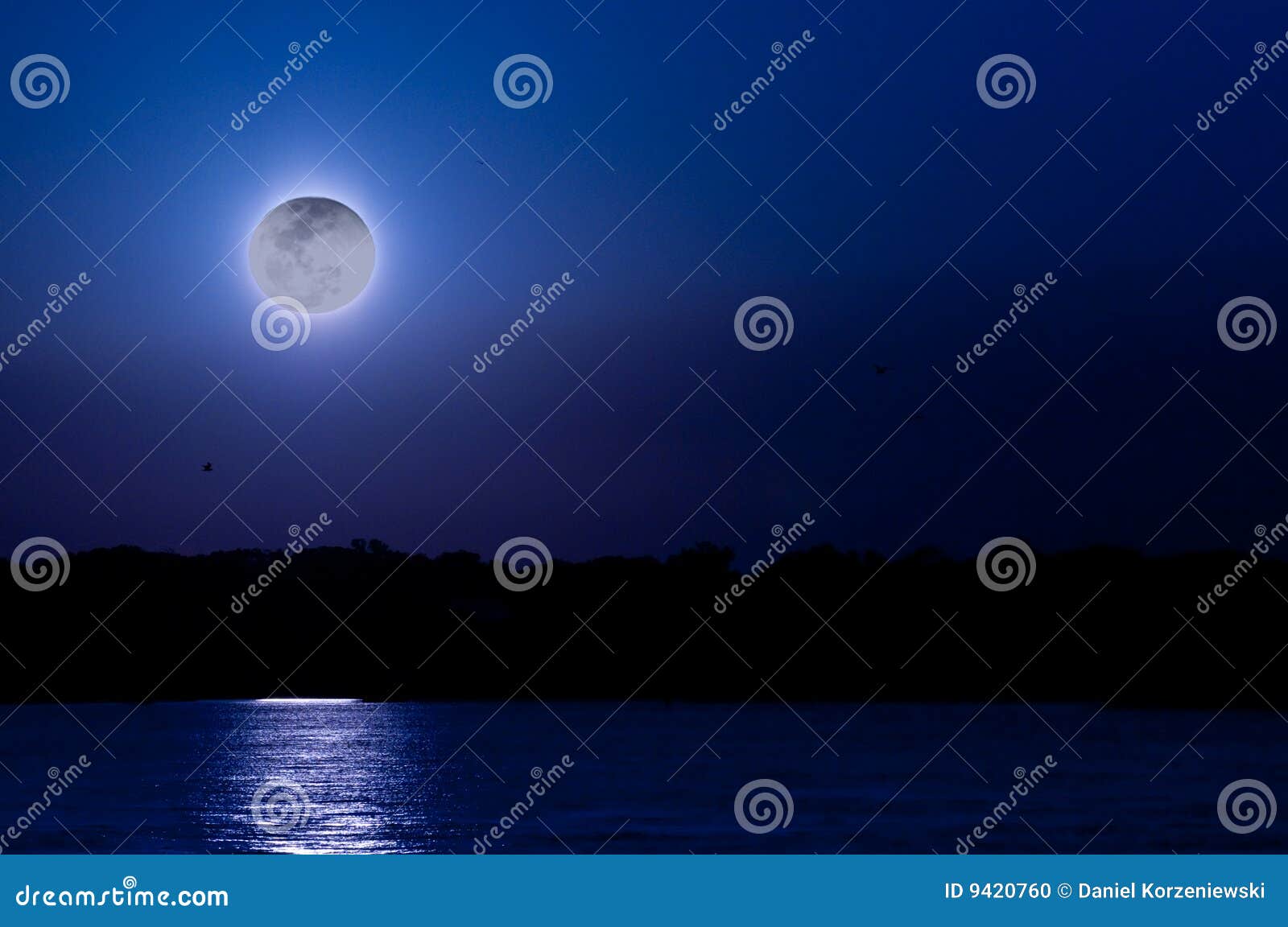 Moonlight Shadows stock photo. Image of midnight, mysterious - 9420760
