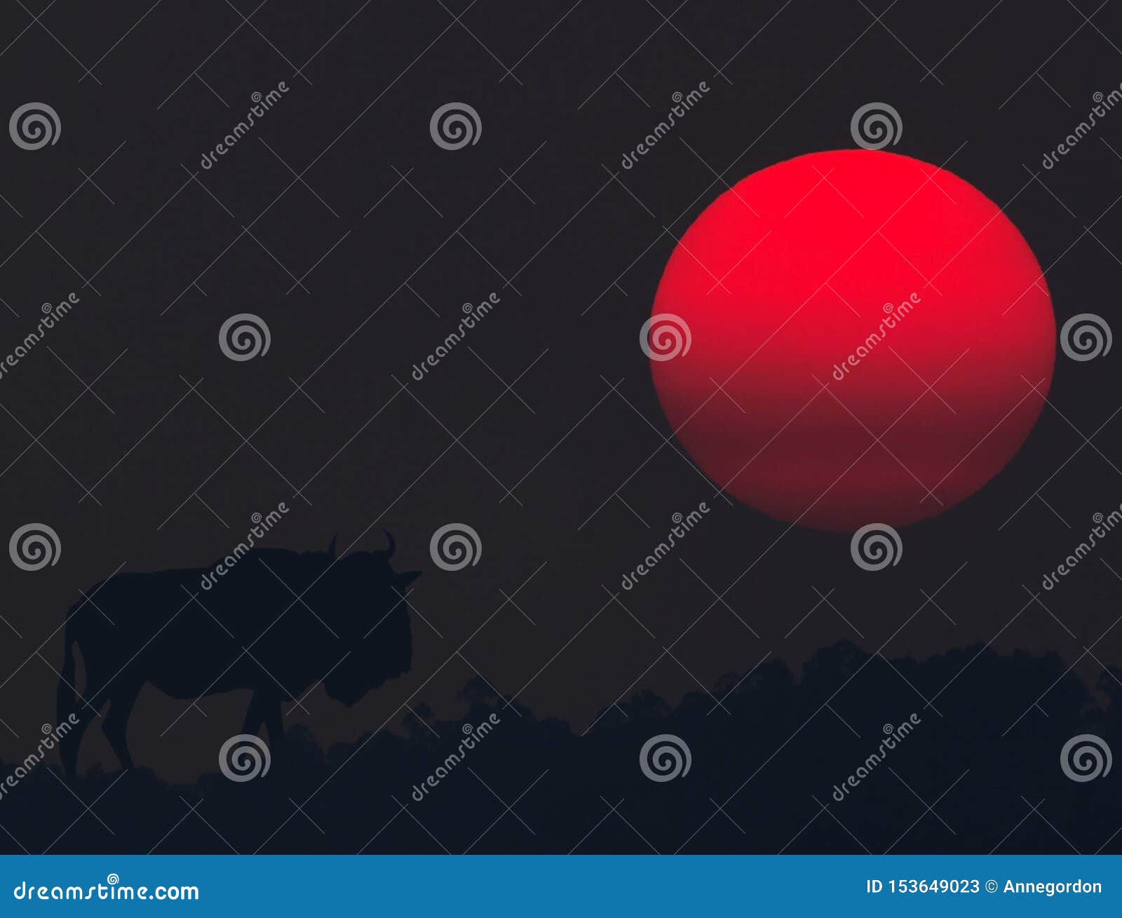 Moonlight Shapes How Some Animals Move Stock Image - Image of dark ...