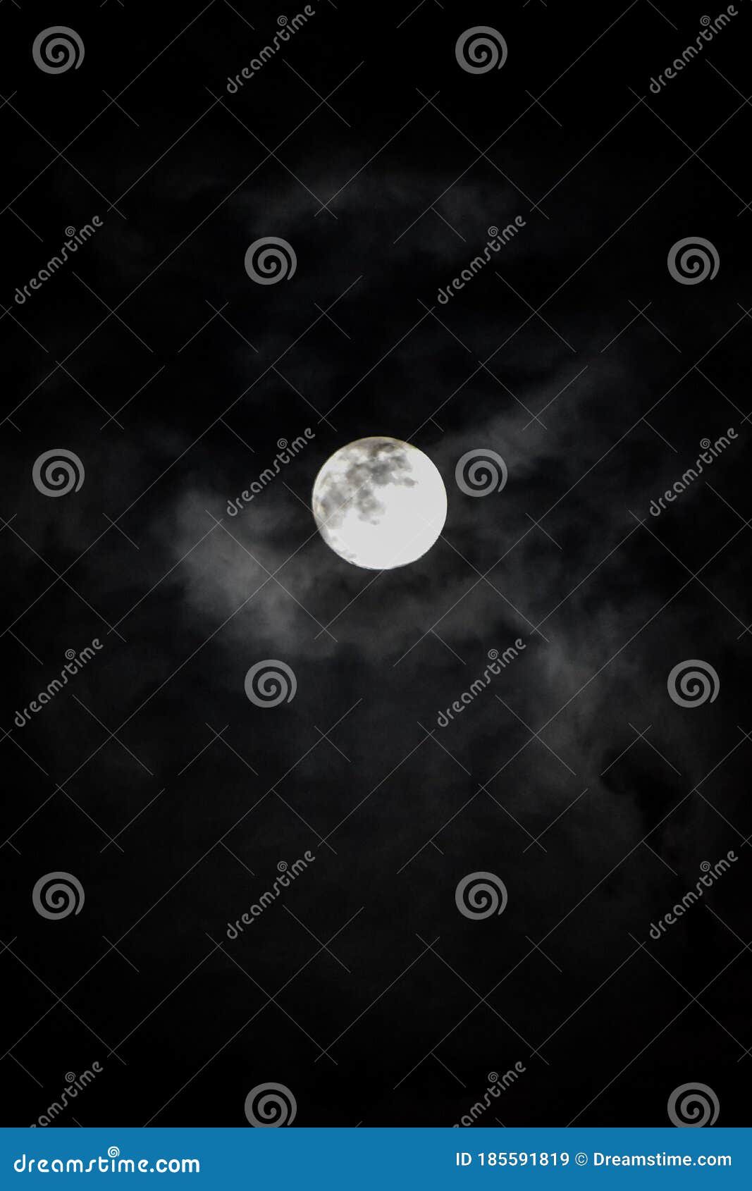 Moonlight Shines Nikon D3500 Stock Image - Image of moonlight, shines ...