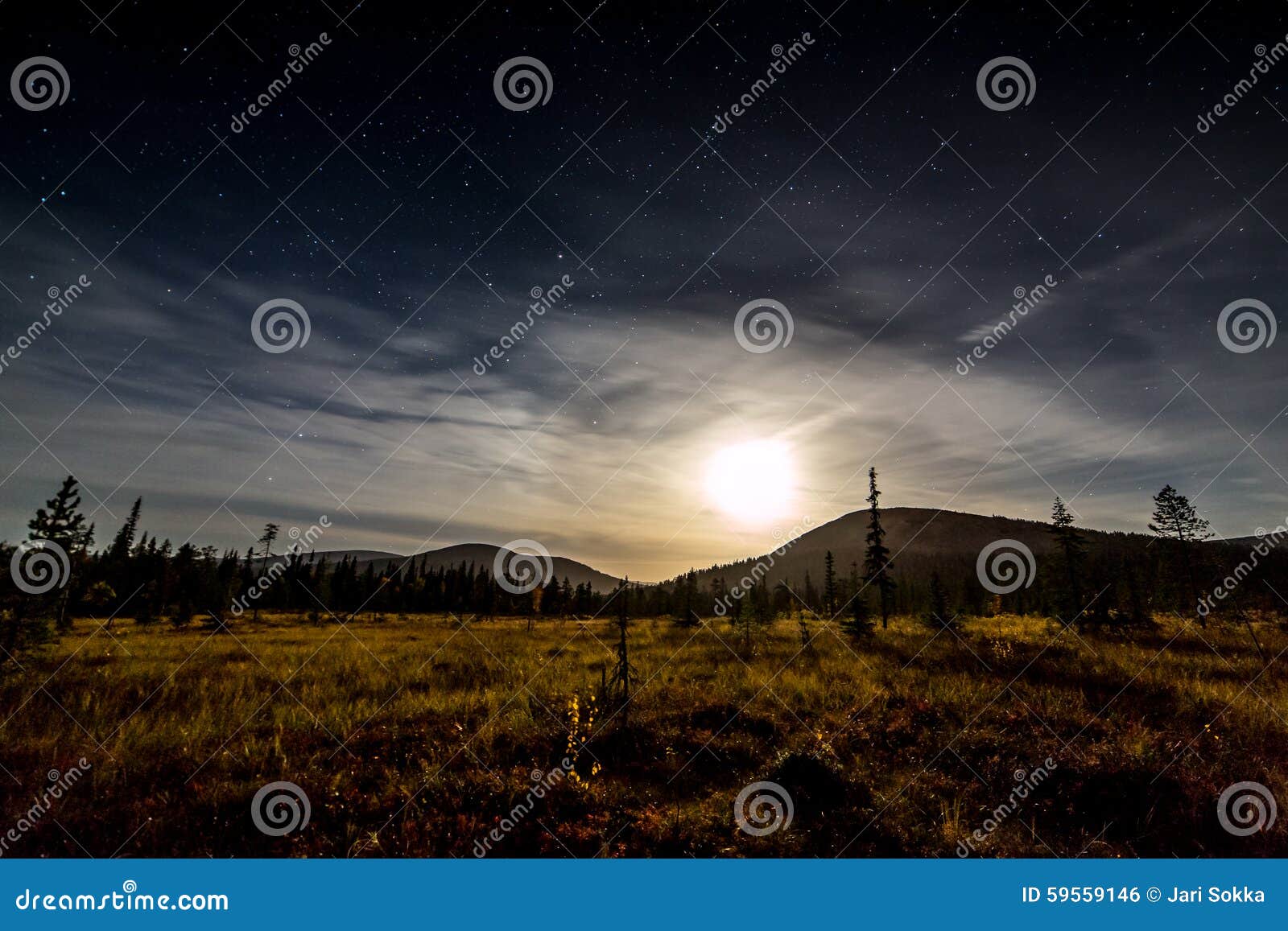 Moonlight stock photo. Image of hiking, landscape, scenery - 59559146