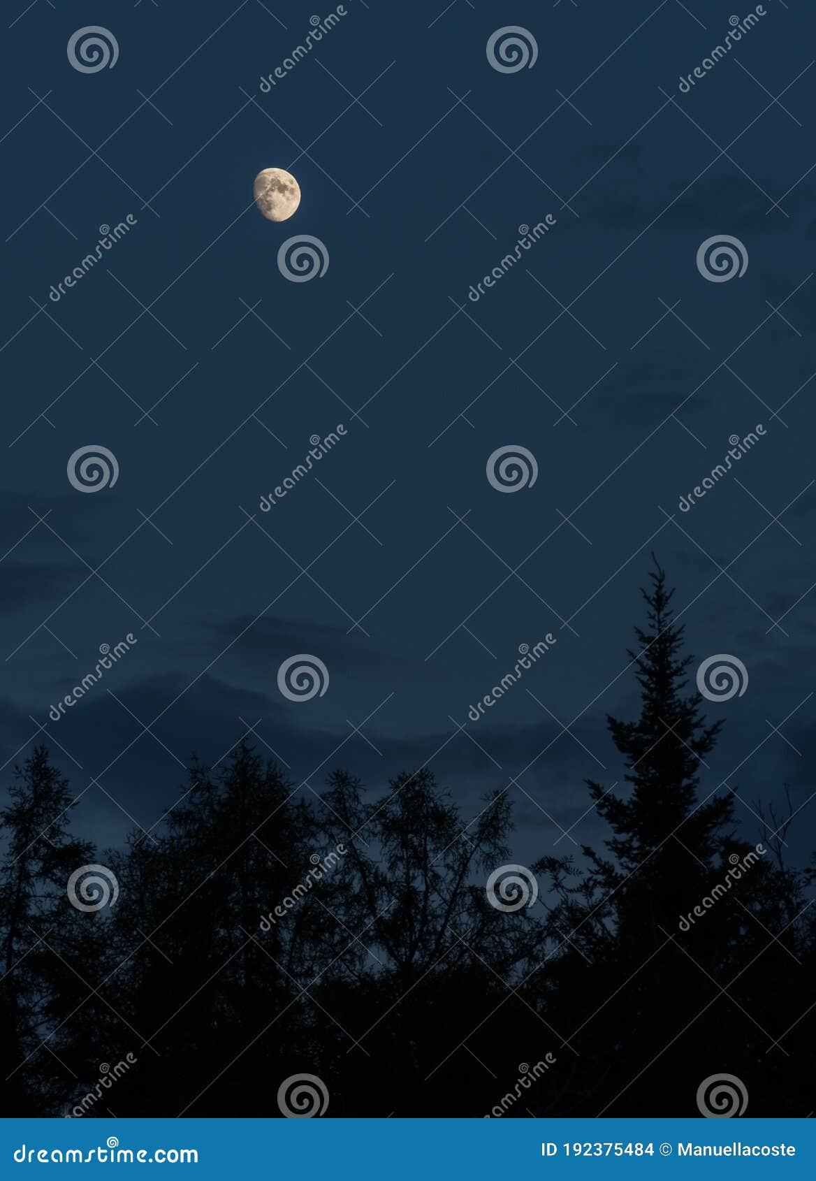 Moonlight Sky during Ny Kayak Camping Trip Stock Photo - Image of ...