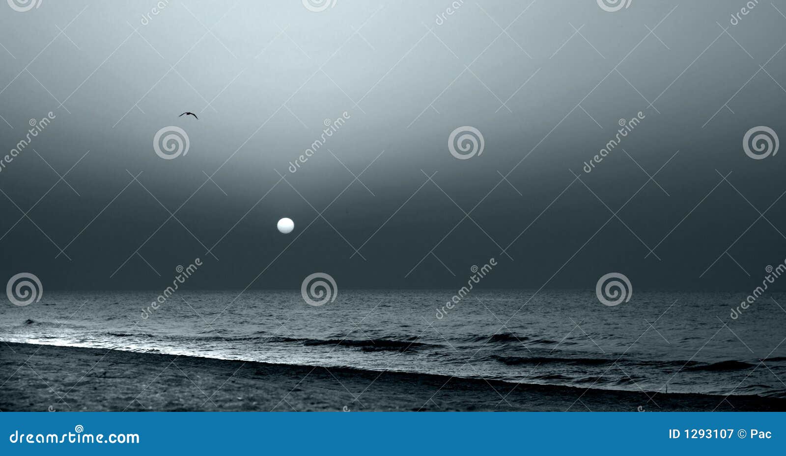 Moonlight sun stock image. Image of beach, lapping, evening - 1293107
