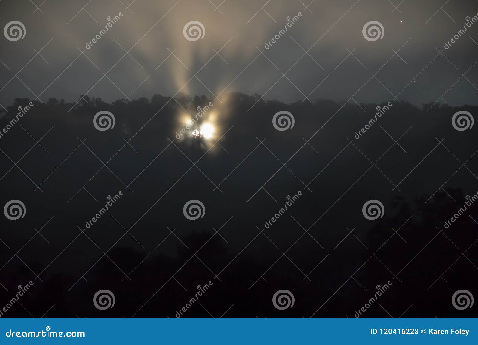 Moonlight in trees and fog stock photo. Image of foggy - 120416228