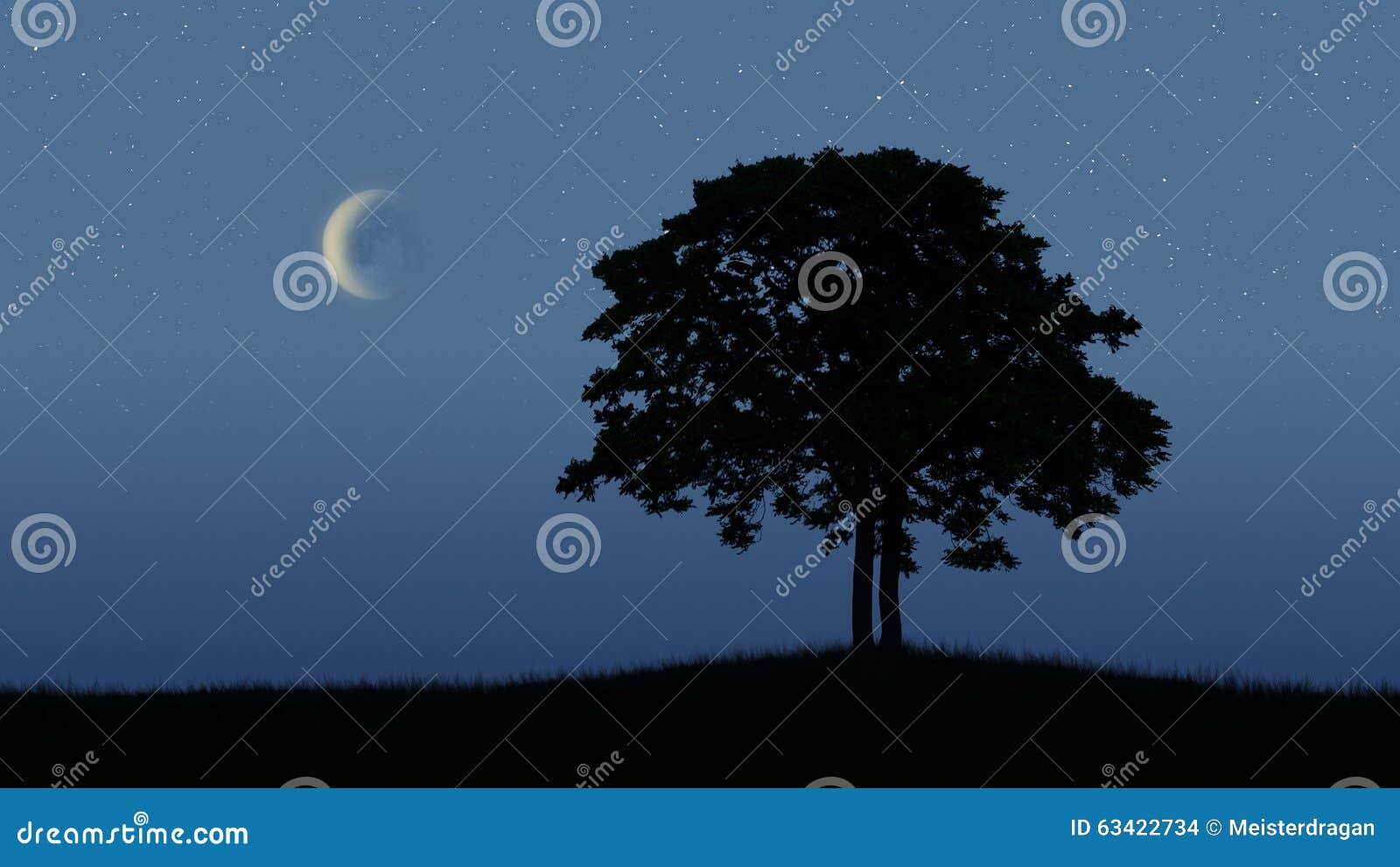 Moonlight stock photo. Image of nature, romantic, light - 63422734