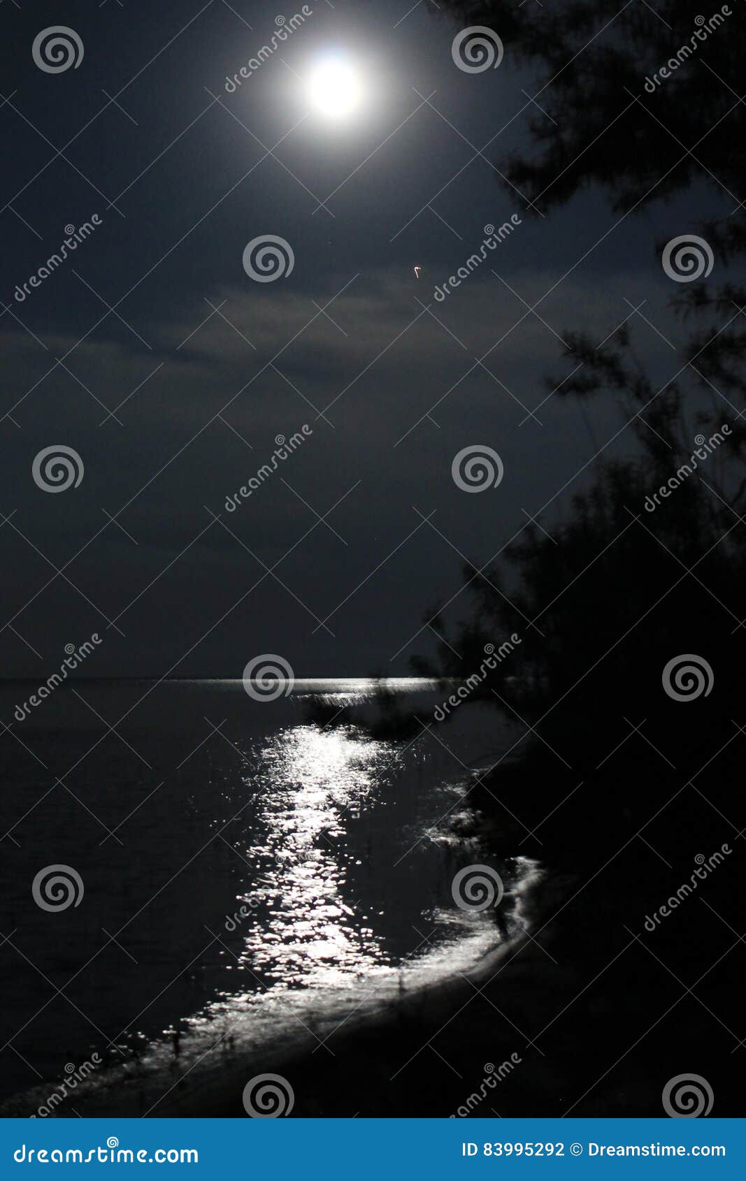 Moonlight on the water stock photo. Image of ukraine - 83995292