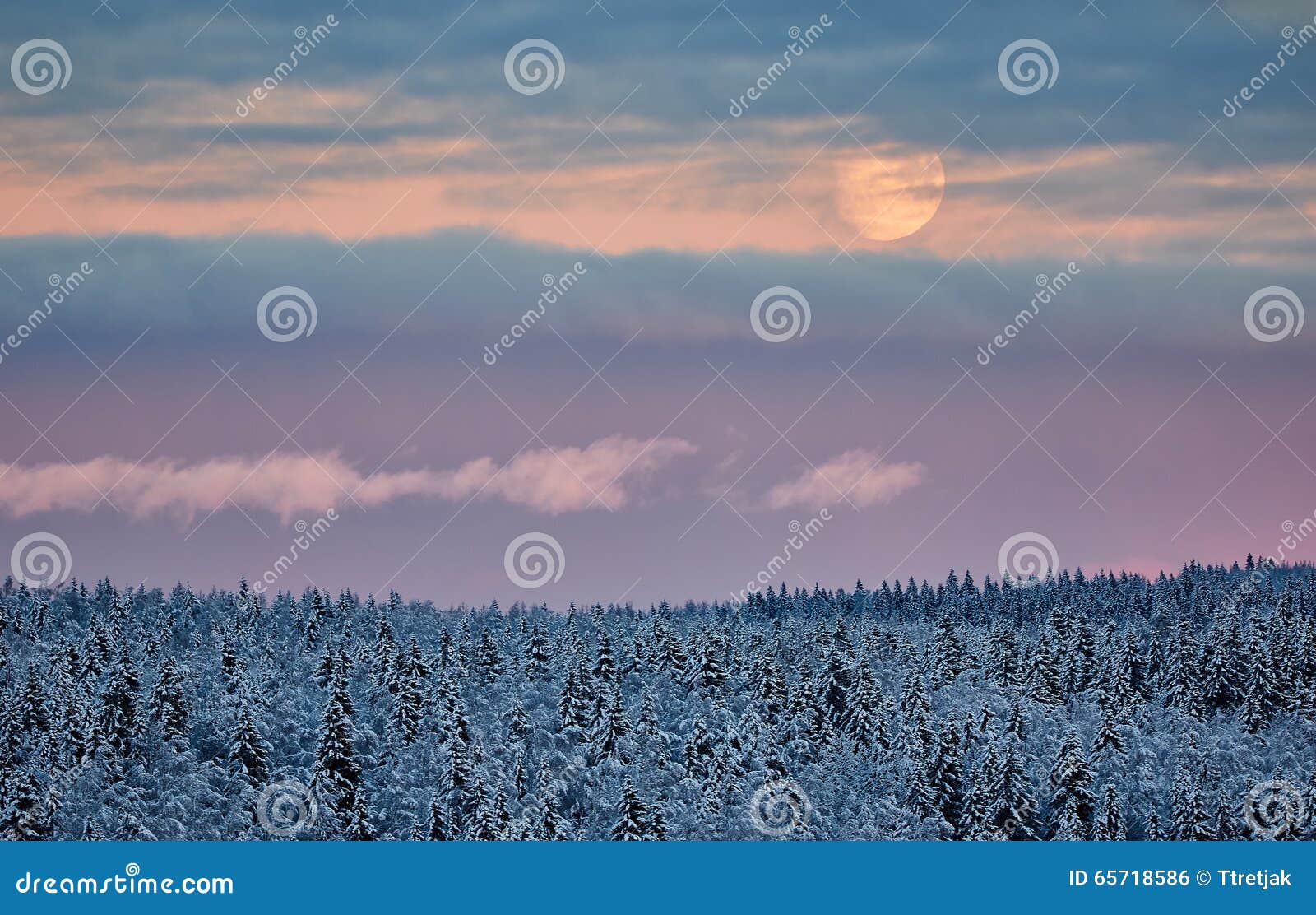 Moonlight Winter Landscape stock photo. Image of season - 65718586