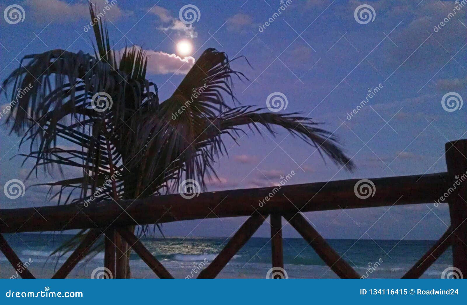 Moonlit beach by the ocean stock image. Image of wooden - 134116415