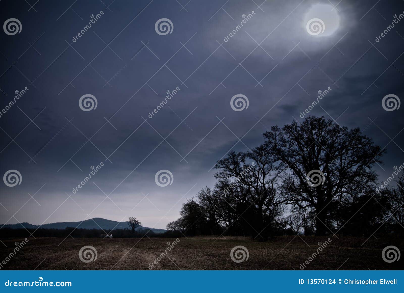 Moonlit Field stock photo. Image of moonlit, trees, silhouette - 13570124