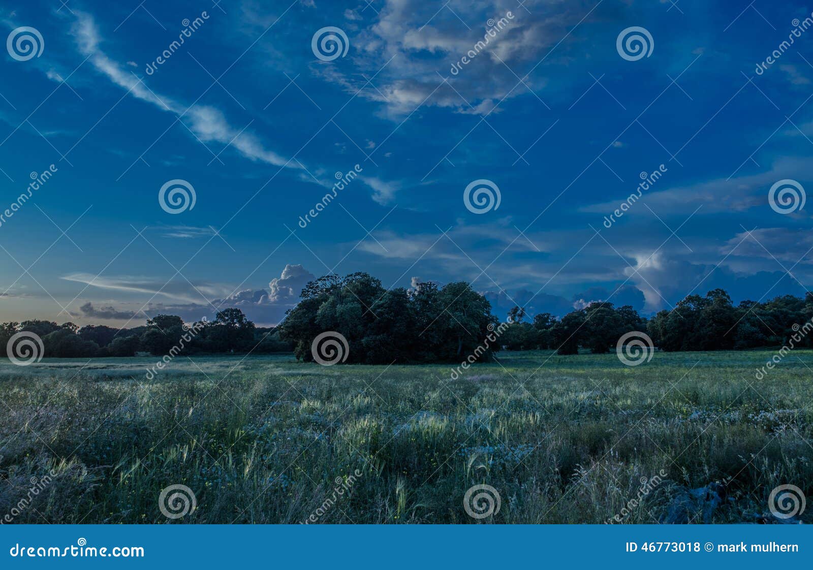 Moonlit meadow stock photo. Image of moonlight, landscape - 46773018