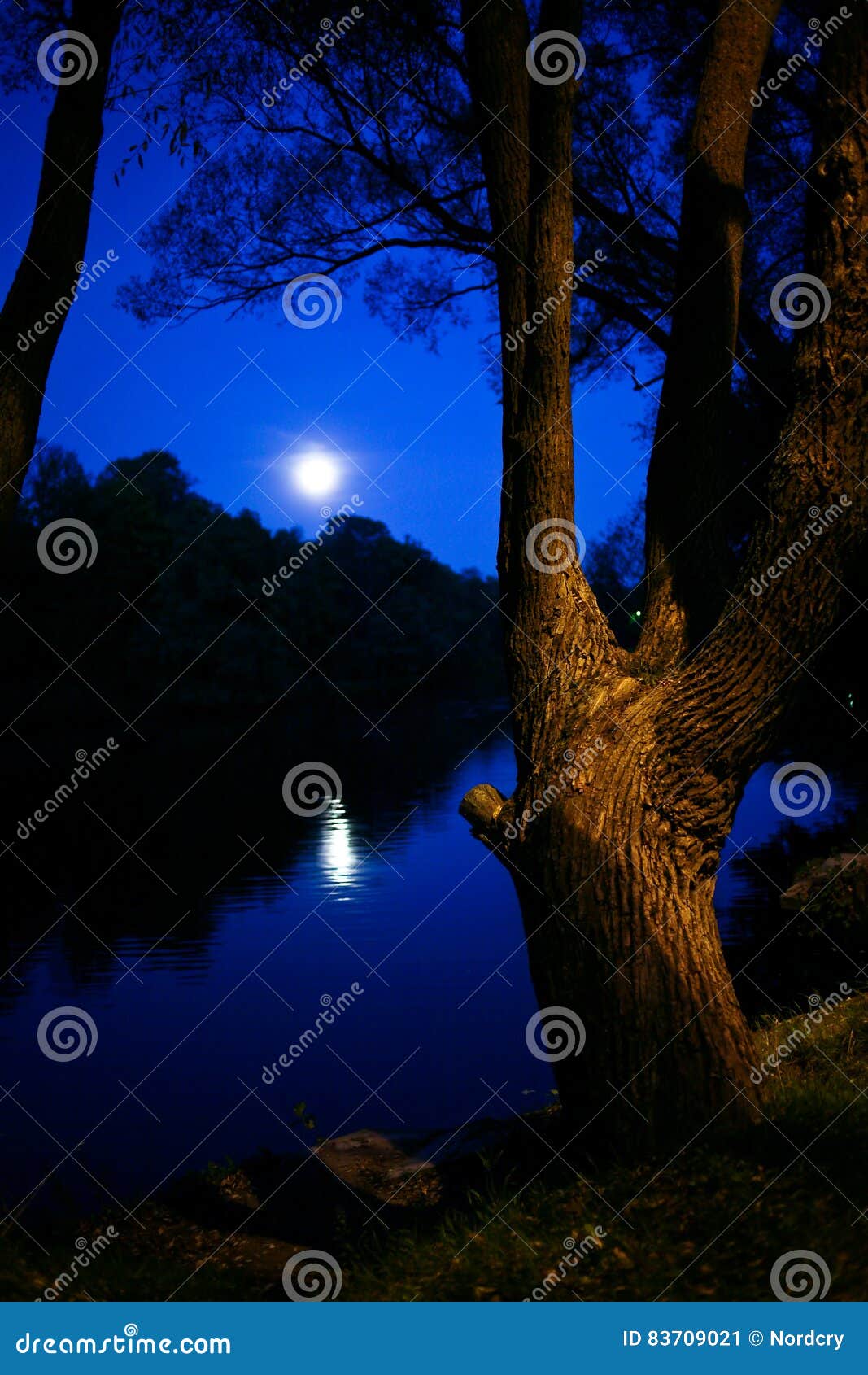 Moonlit Night in Autumn Park Stock Image - Image of pond, reflection ...