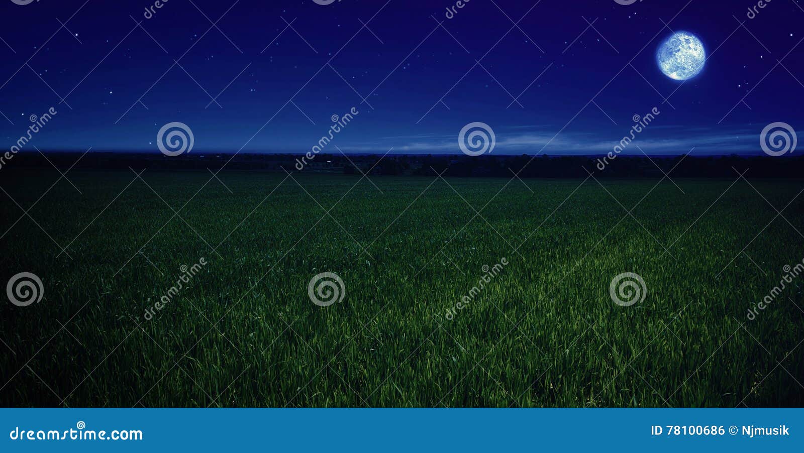 Moonlit night stock photo. Image of flickering, forest - 78100686