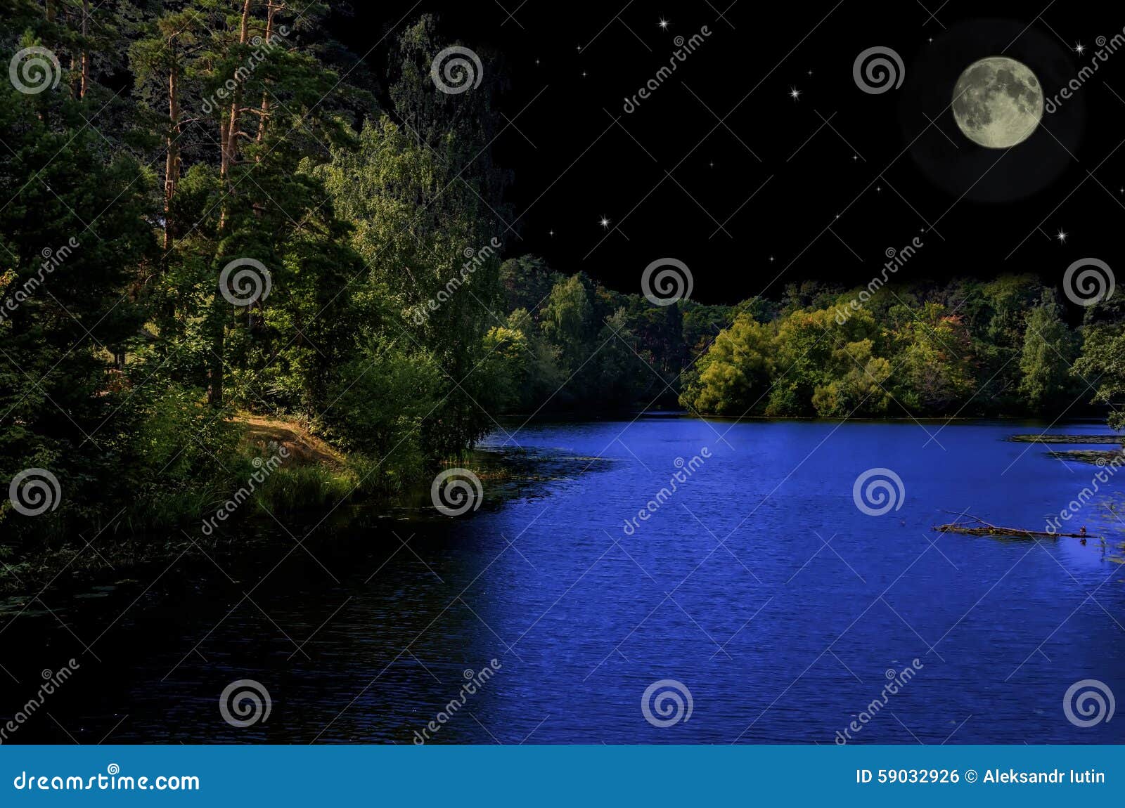 Moonlit night in the woods stock photo. Image of forest - 59032926