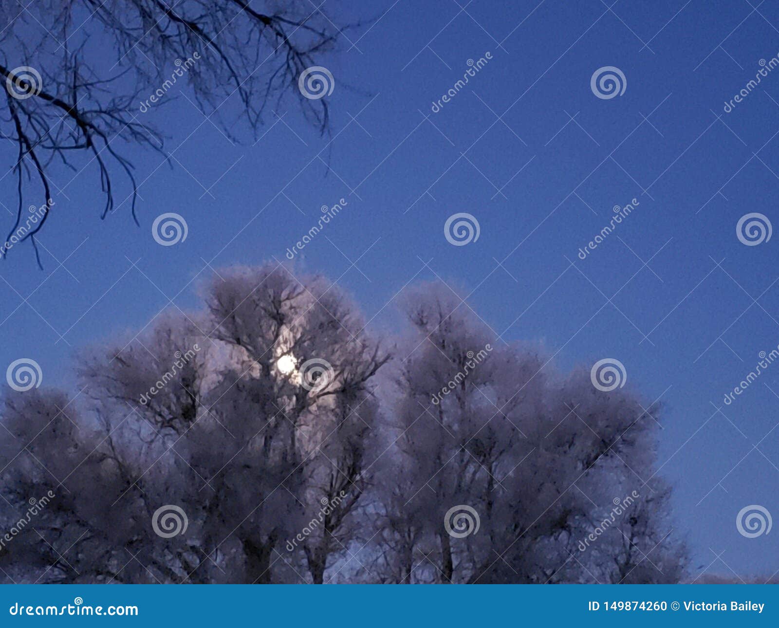 Moonlit Snowy Sky stock photo. Image of night, snowy - 149874260